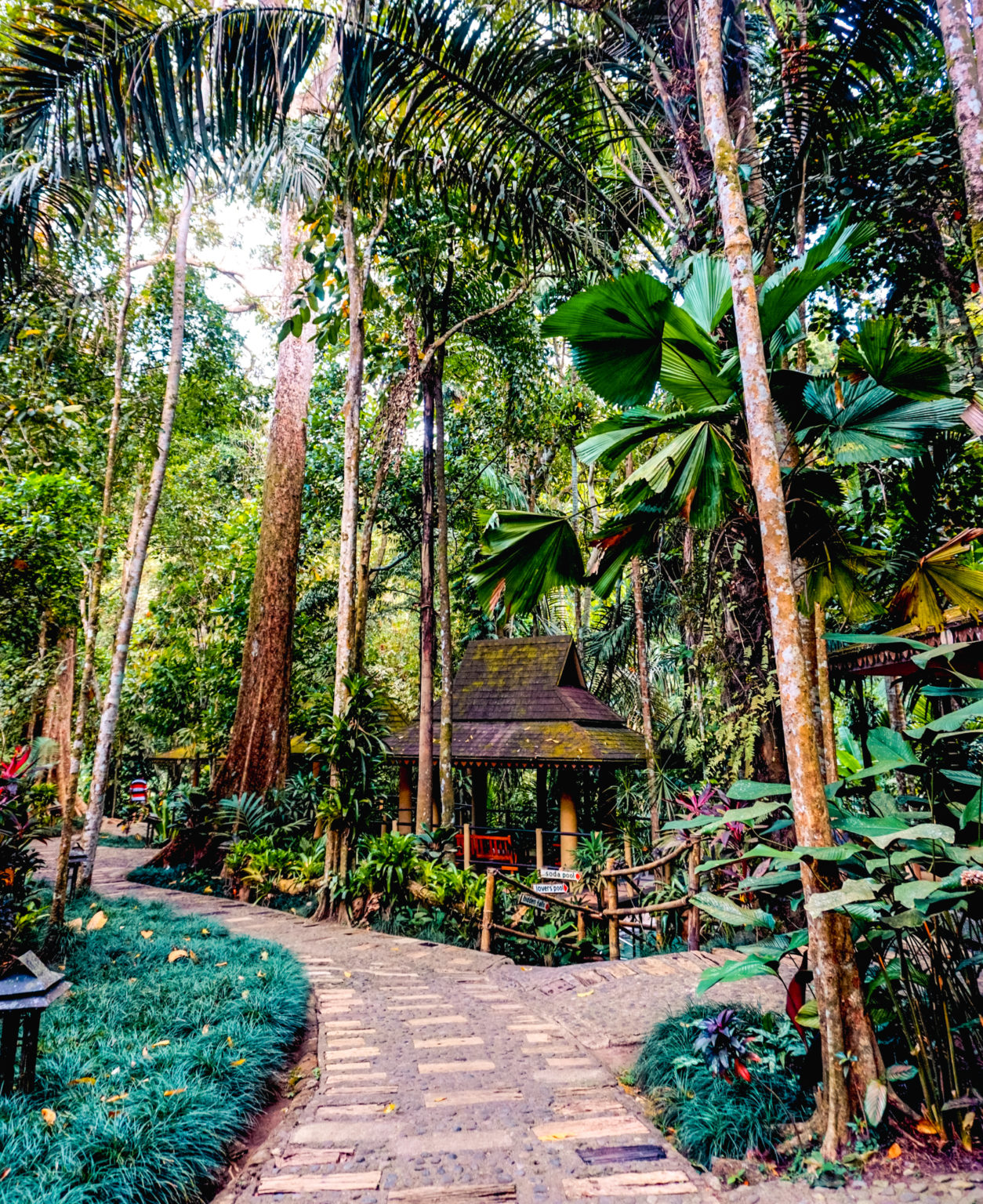 Pagsanjan Falls and Hidden Valley day trip - Jo Explores