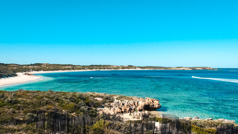 Rottnest Island – home to the happiest animal in the world
